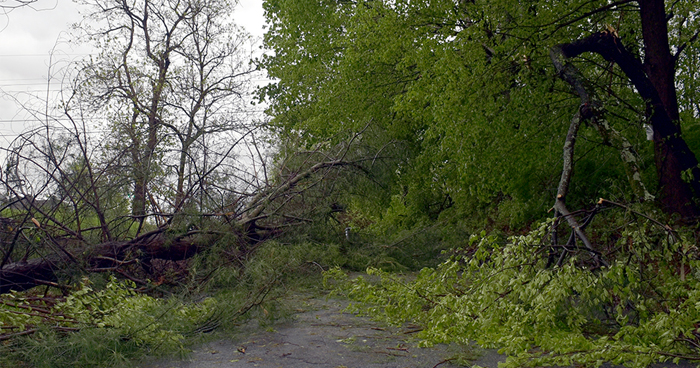 Central Hudson Works to Restore Service After Powerful Storm Hits ...